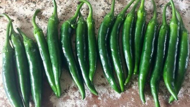 The town that became Scotland's chilli capital - BBC News