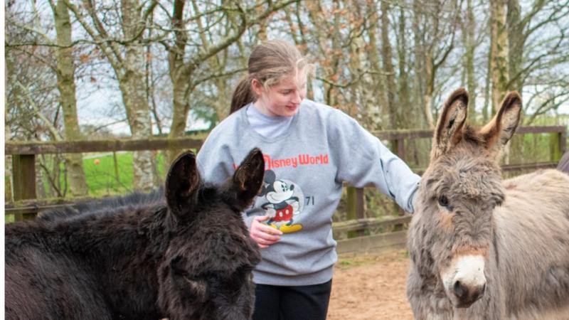 Donkey Sanctuary charity facing four centre closures - BBC News