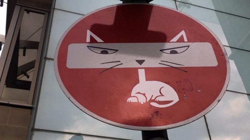 Hacked street signs in Edinburgh are illegal, council says - BBC News