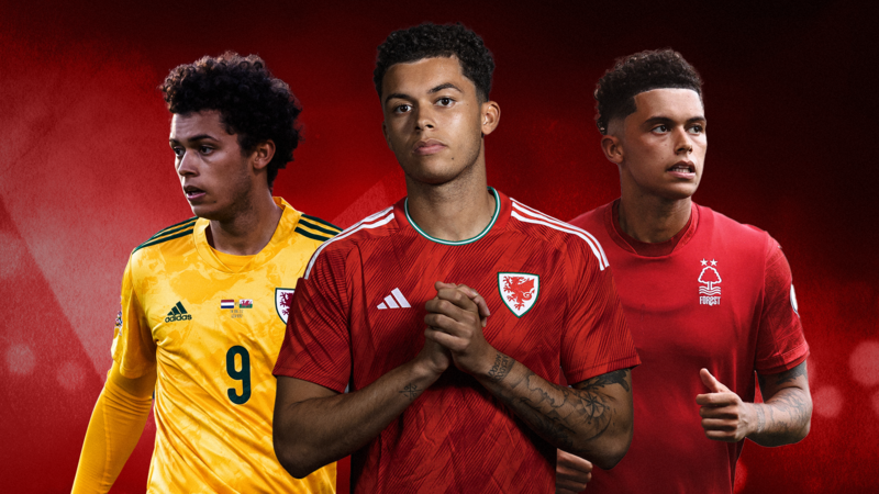 Wales Men's Football Team - BBC Sport