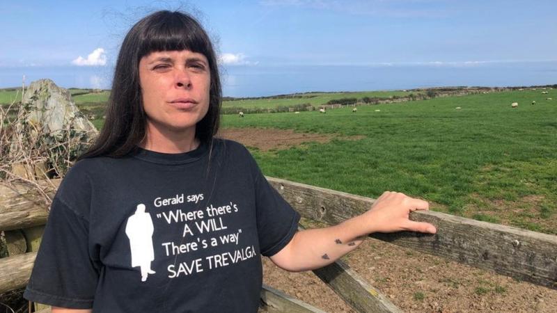 Row over sale plans for Cornwall's Trevalga estate - BBC News