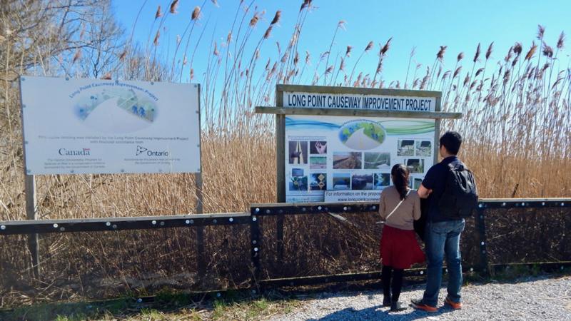 Turtle disaster avoided with roadkill rescue - BBC News