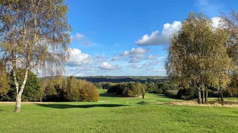 Knepp Castle: Stork breeding programme has most successful year - BBC News