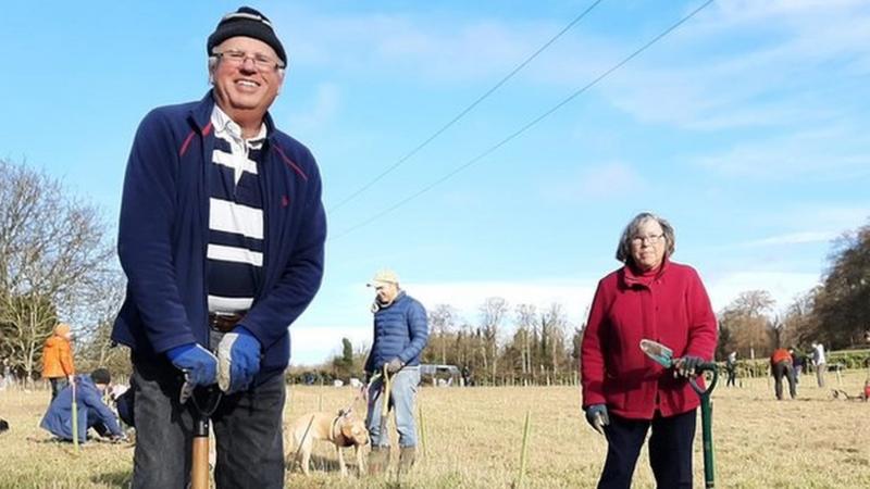 Six major nature recovery schemes across England unveiled - BBC News