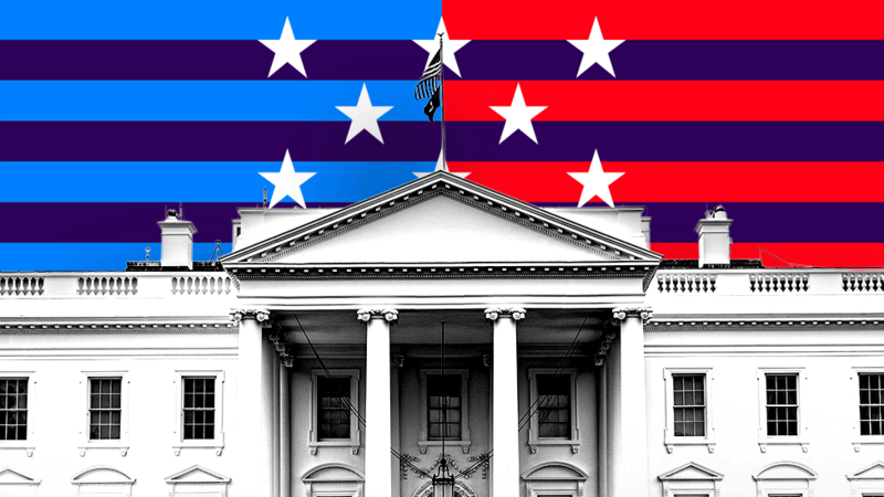 A really simple guide to the presidential vote - BBC News