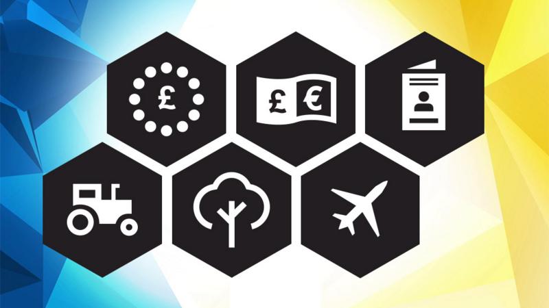 Brexit: What happens now? - BBC News