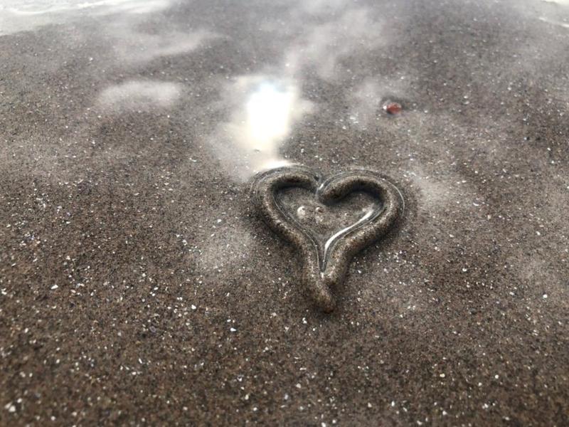 Your pictures of Scotland 9 - 16 July - BBC News