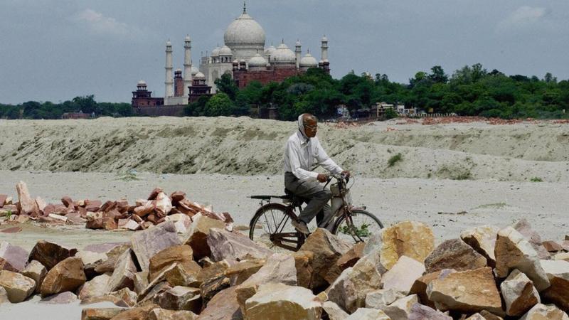 Why is India's Taj Mahal turning green? - BBC News