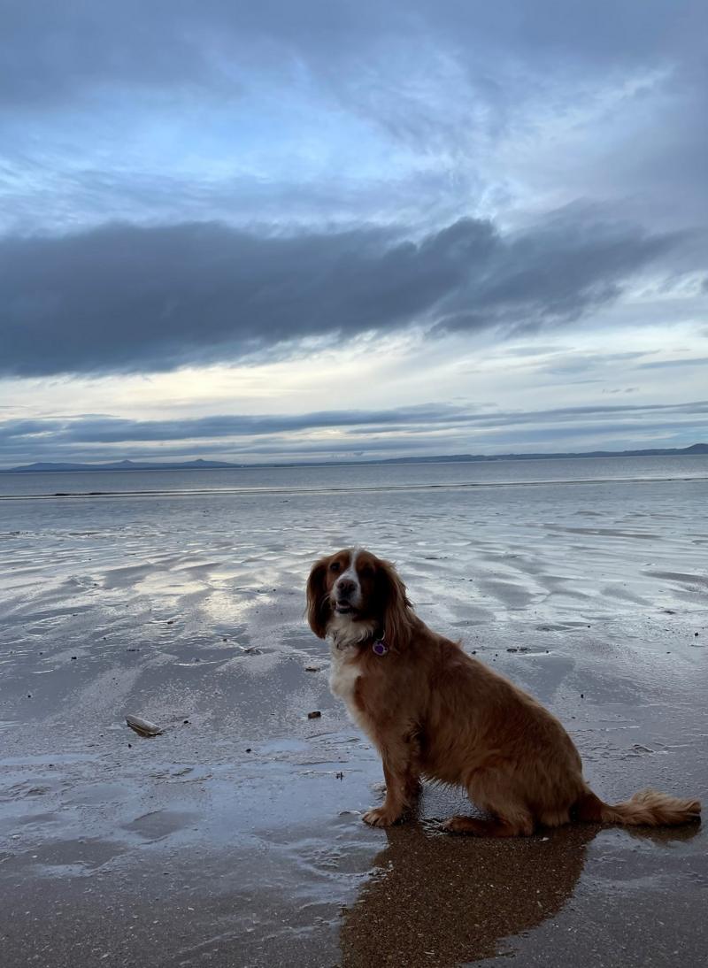 Your pictures of Scotland 18 - 25 December - BBC News