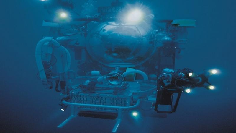 In pictures: Asia's creatures of the deep sea - BBC News