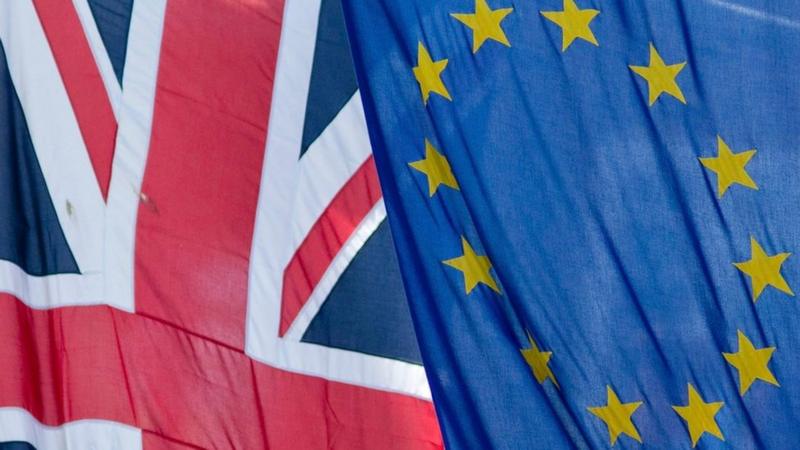 UK's EU referendum: All you need to know - BBC Newsround