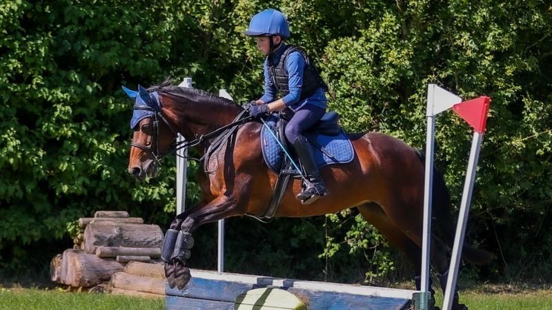 Keysoe International equestrian centre expansion plans unveiled - BBC News