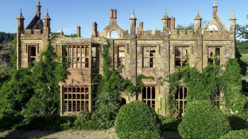 Curiosities for sale to save fire-damaged Parnham House - BBC News