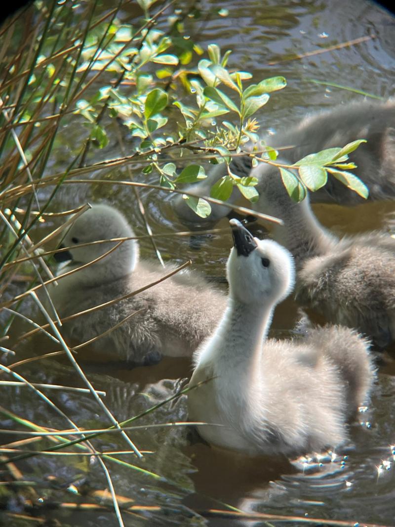 Your pictures of Scotland: 27 January to 3 February - BBC News