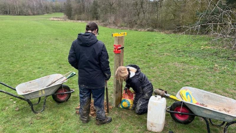 Highland cows Colin and Harry moo-ve in to tend Derby parks - BBC News