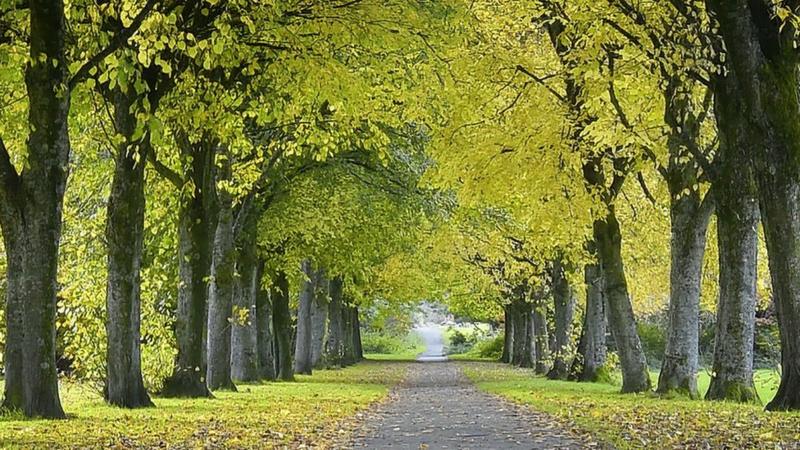 Your pictures of Scotland 9 - 16 October - BBC News