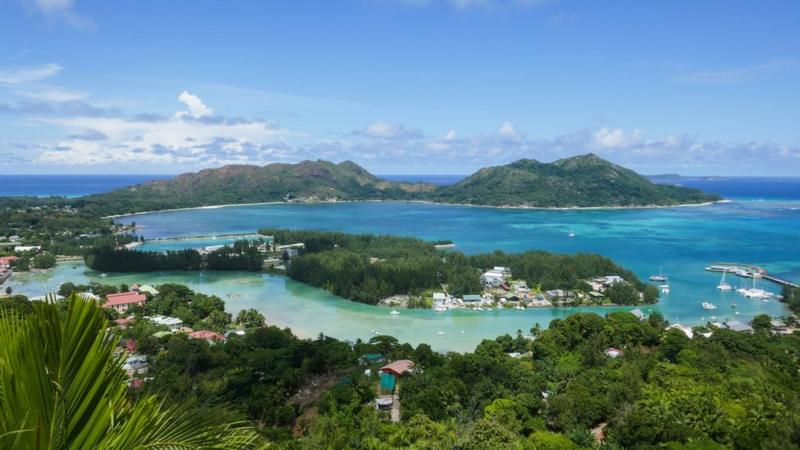 Coco de mer: How the world's biggest seeds are being protected - BBC ...