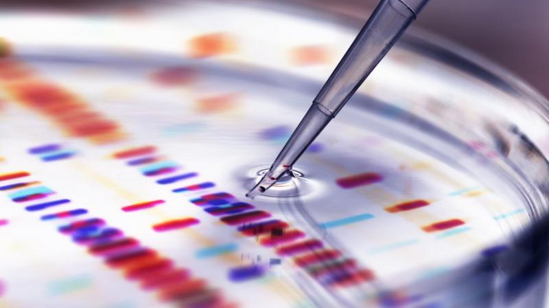 AI model from Google DeepMind reads recipe for life in our DNA - BBC News