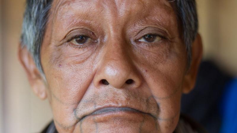 They are killing our forest, Brazilian tribe warns - BBC News