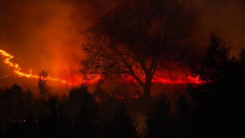 What has the Future Generations Act done for Wales? - BBC News