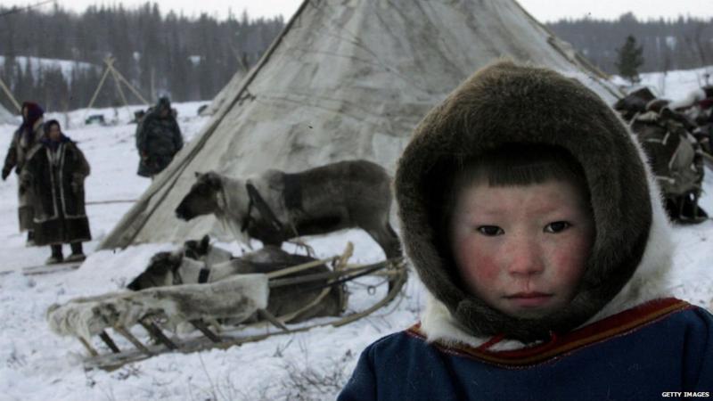 Why animals are dying in their thousands across the world - BBC News