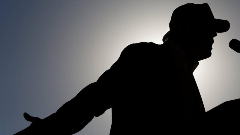 First 100 days: Where President Trump stands on key issues - BBC News