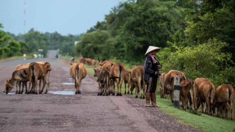Laos country profile - BBC News