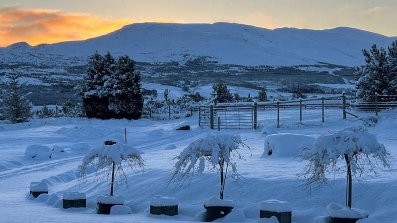 Snowy scenes from around the UK - BBC Weather