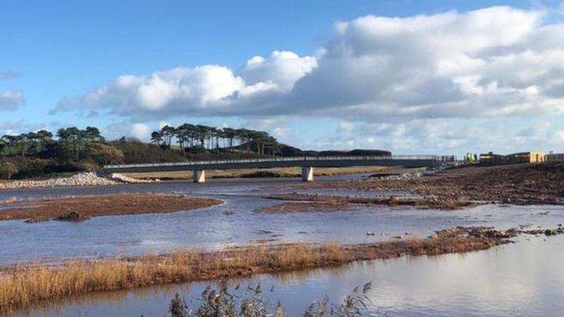 Devon | Latest News & Updates | BBC News