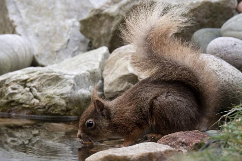 Your pictures of Scotland: 28 April - 5 May - BBC News