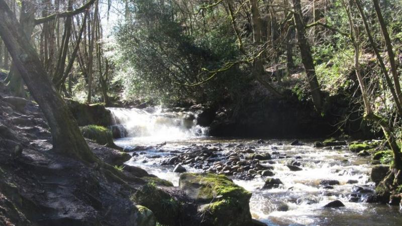 Goit Stock: Bingley beauty spot with woodland and waterfall for sale ...