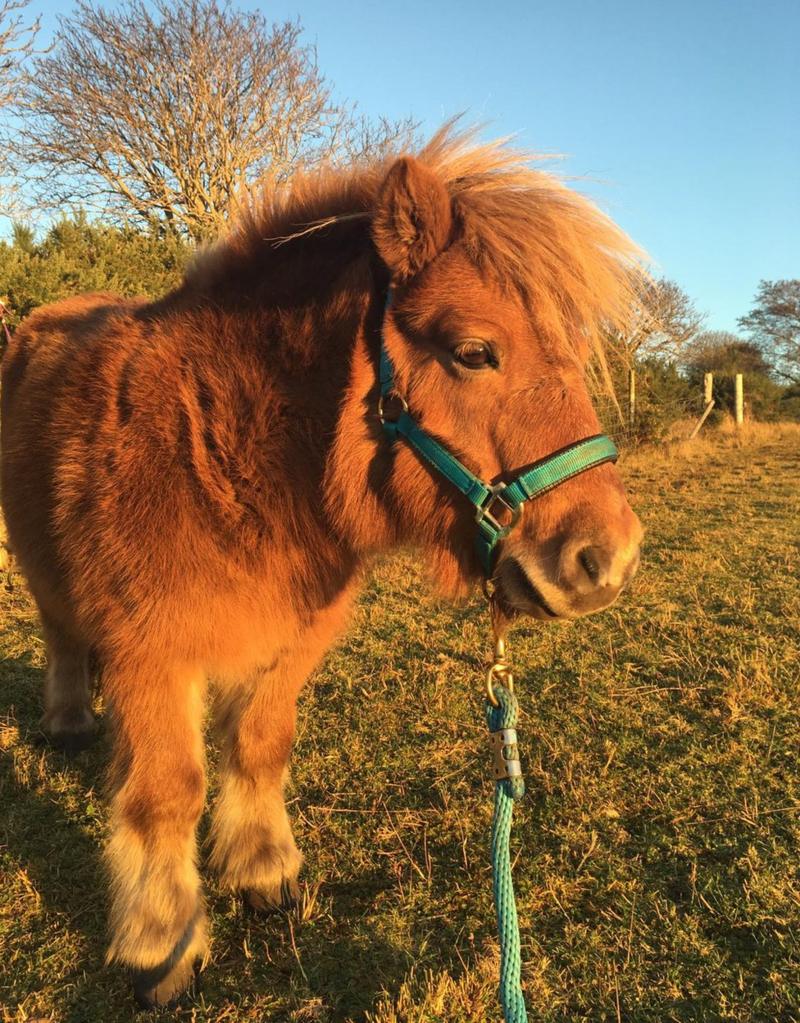 Your pictures of Scotland: 16 - 23 November - BBC News