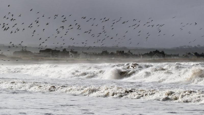 In pictures: Storm Doris hits the UK - BBC News