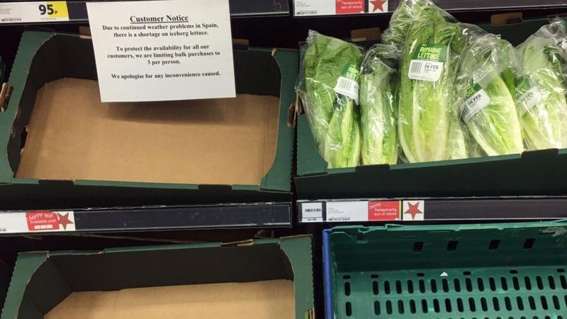 Morrisons recalls green beans after metal find - BBC News