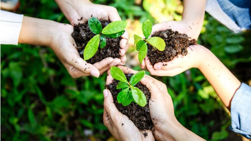 What is Earth Day 2025, when is it and what has it achieved? - BBC News