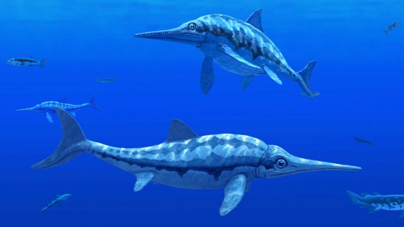 UK's biggest ever prehistoric sea dragon discovered - BBC Newsround