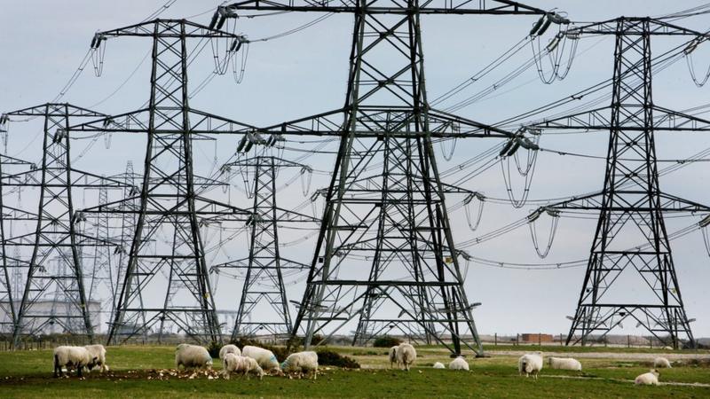 Northern Powergrid - BBC News