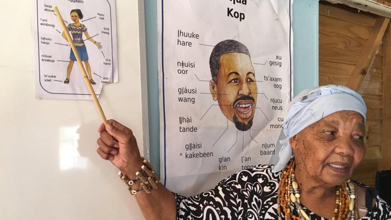 Trying to save South Africa's first language - BBC News