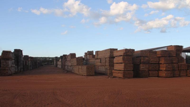 Brazil's Amazon wilderness at risk from organised crime - BBC News