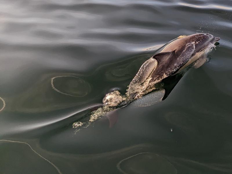 Your pictures of Scotland: 9-16 September - BBC News