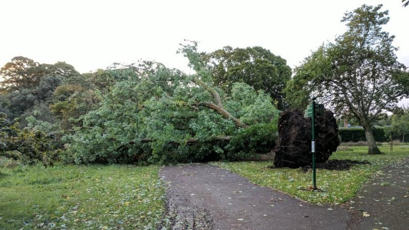 Storm Aileen: Winds bring travel disruption - BBC News
