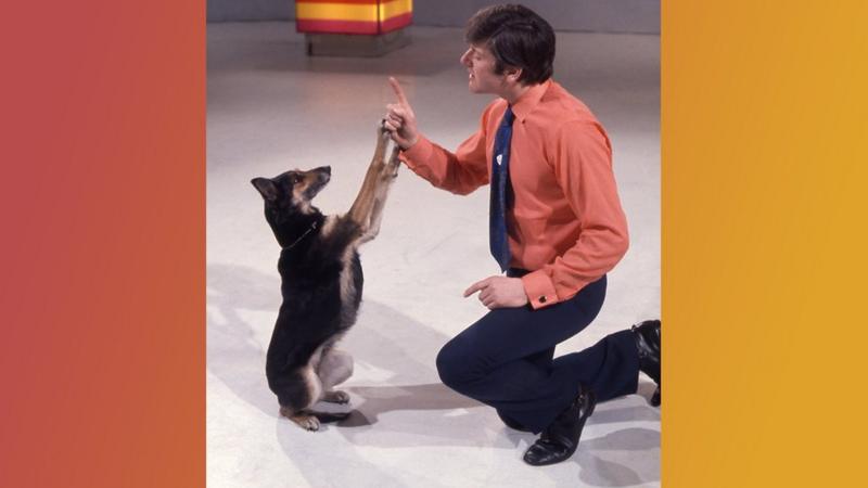 Blue Peter pets: Dogs, horses, and, of course, tortoises - BBC Newsround
