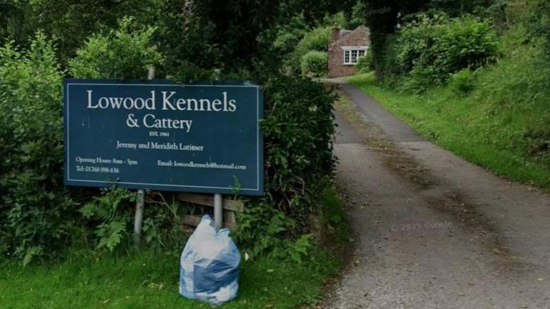 Lowood Kennels plans art gallery in workshop - BBC News