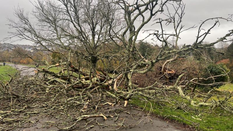 Devon and Cornwall battered by Storm Bert - BBC News