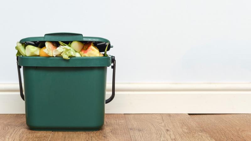 Food waste scheme coming to 72,000 homes in Sussex - BBC News