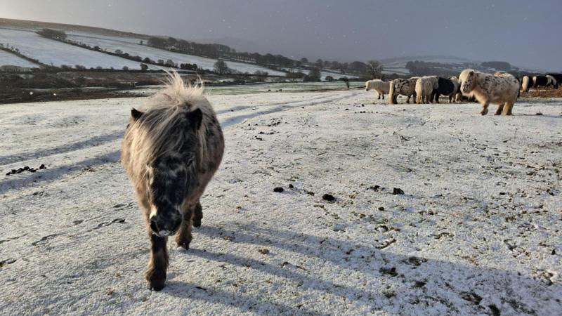 Snow and ice warnings for South West as snow falls in Devon - BBC News