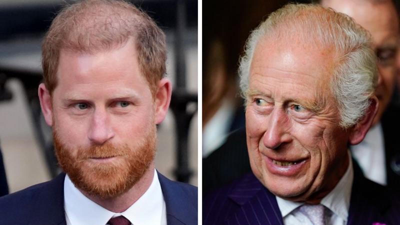 Prince Harry meets King Charles for first time in over a year - BBC News