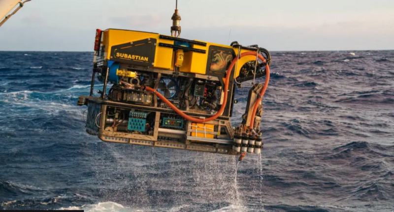 Colossal squid filmed underwater for the first time in history - BBC ...