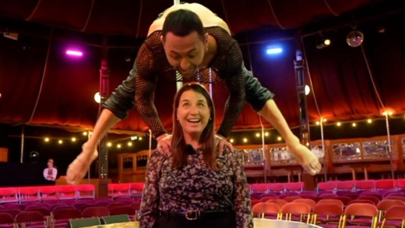 Circuses - BBC News