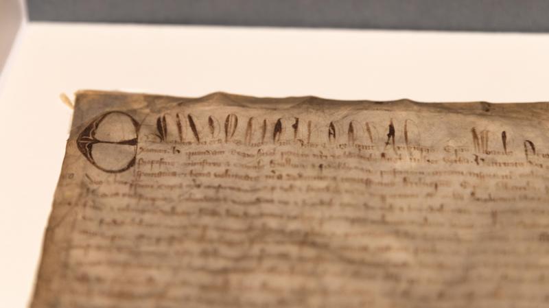 Harvard cut-price Magna Carta 'copy' now believed genuine - BBC News